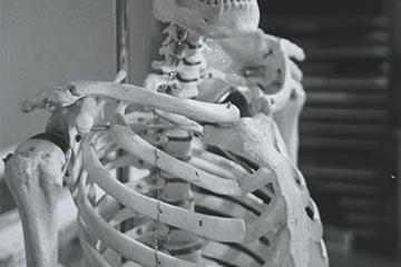 Classes | Skirball Cultural Center