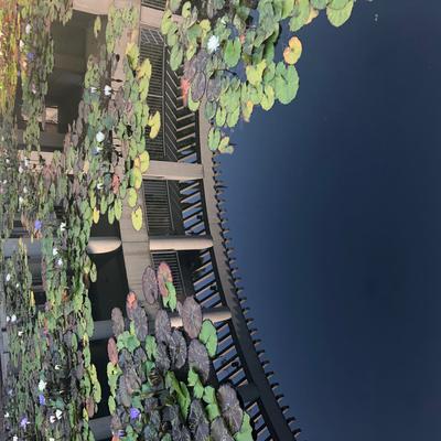 Skirball Cultural Center | Home