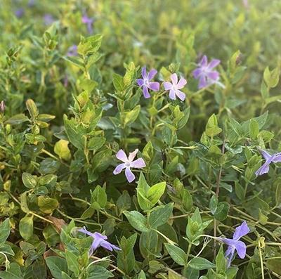 Skirball Cultural Center | Home