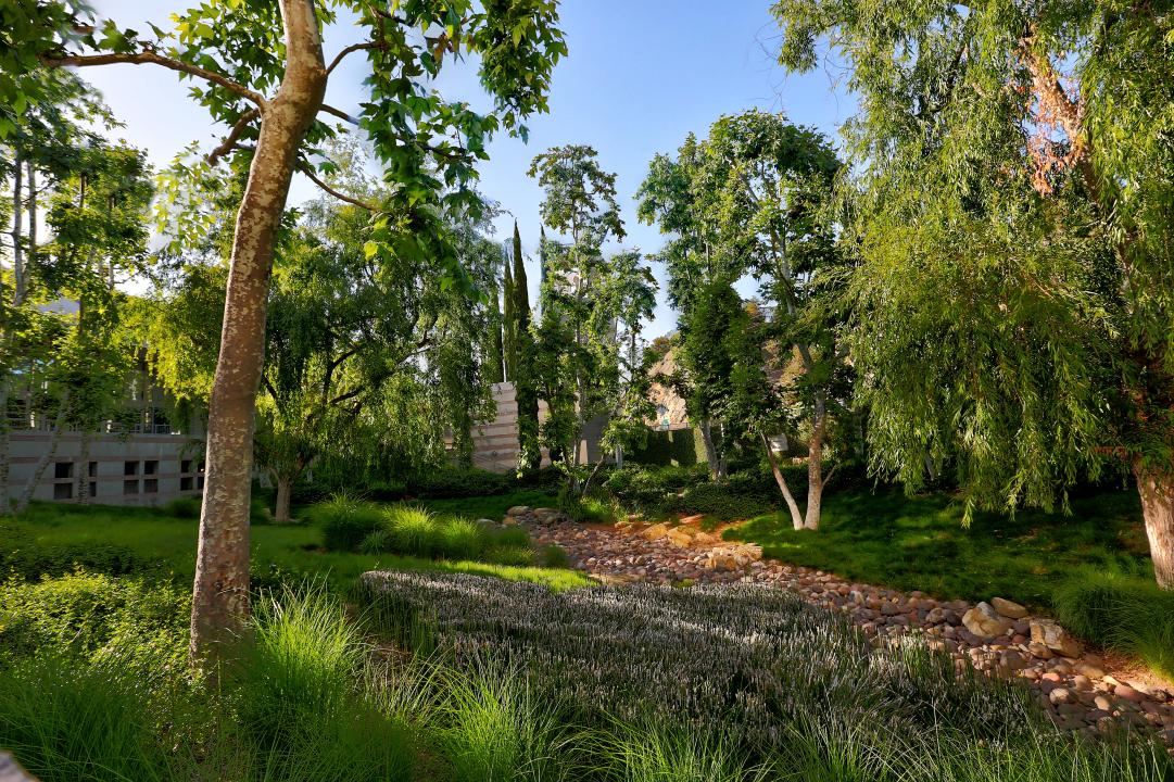 Mindfulness and Mitzrayim | Skirball Cultural Center