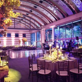 Social Celebrations | Skirball Cultural Center